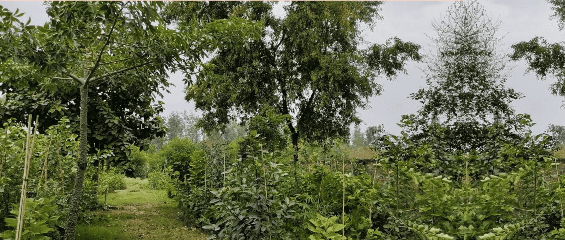 About DNHDD Tourism Daman Dadra Nagar Haveli Tourism DNH DD About DNHDD Tourism Daman Dadra Nagar Haveli Tourism DNH DD